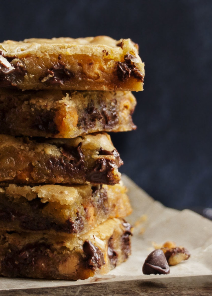 Chocolate Chip Butterscotch Bars - Just a Little Bit of Bacon