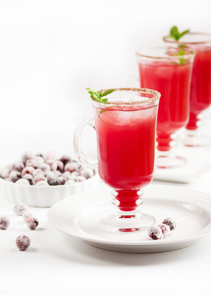 Cranberry Ginger Fizz Cocktail - Just a Little Bit of Bacon