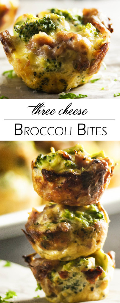 Three Cheese Broccoli Bites - Just a Little Bit of Bacon